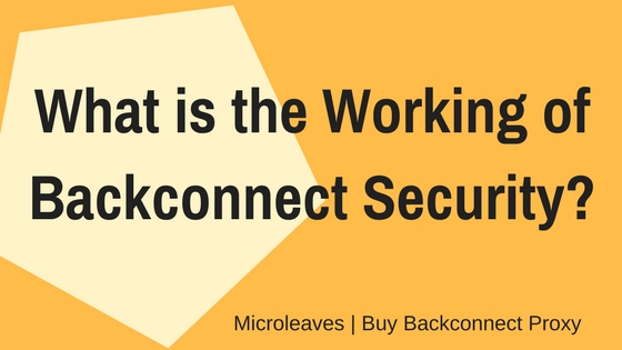 What is the Working of Backconnect Security? - Microleaves