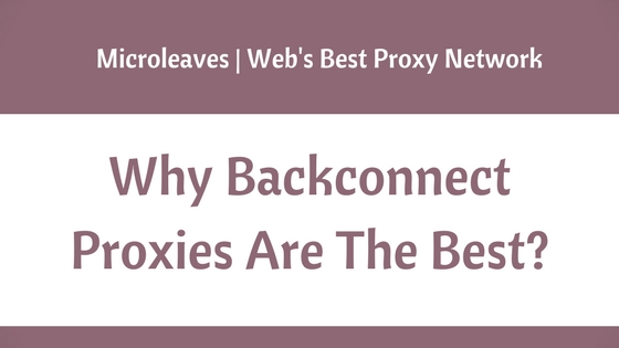 Why Backconnect Proxies Are The Best Microleaves