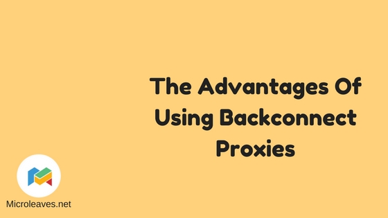 The Advantages Of Using Backconnect Proxies - Microleaves The Advantages Of Using Backconnect Proxies - Microleaves